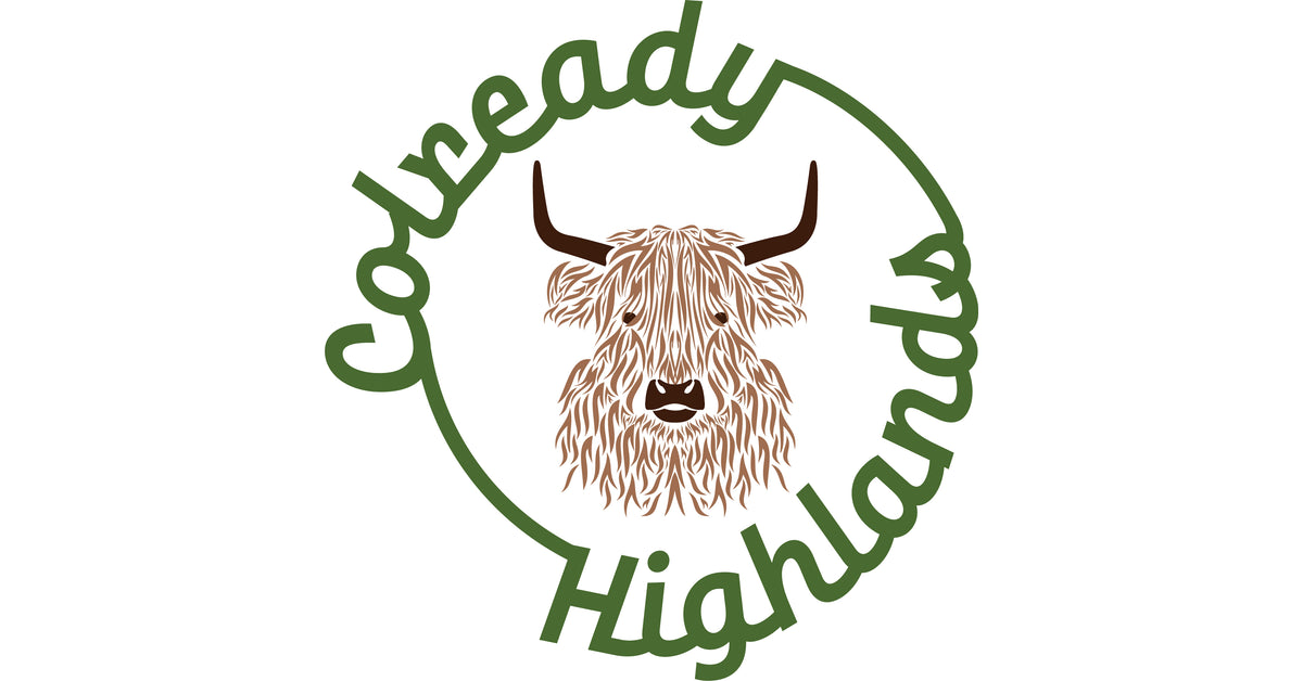 Adopt a Highland Cow Names – Colready Highlands