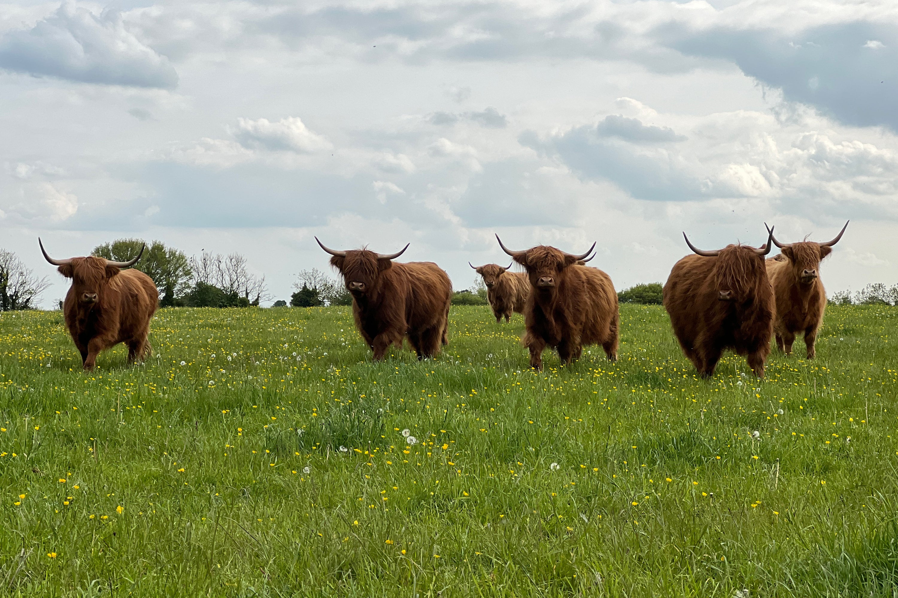 Gallery – Colready Highlands